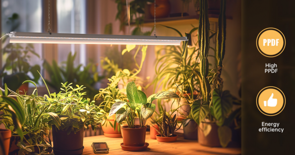Sun to Shelf: Solar-Driven Grow Lights for Sustainable Farming