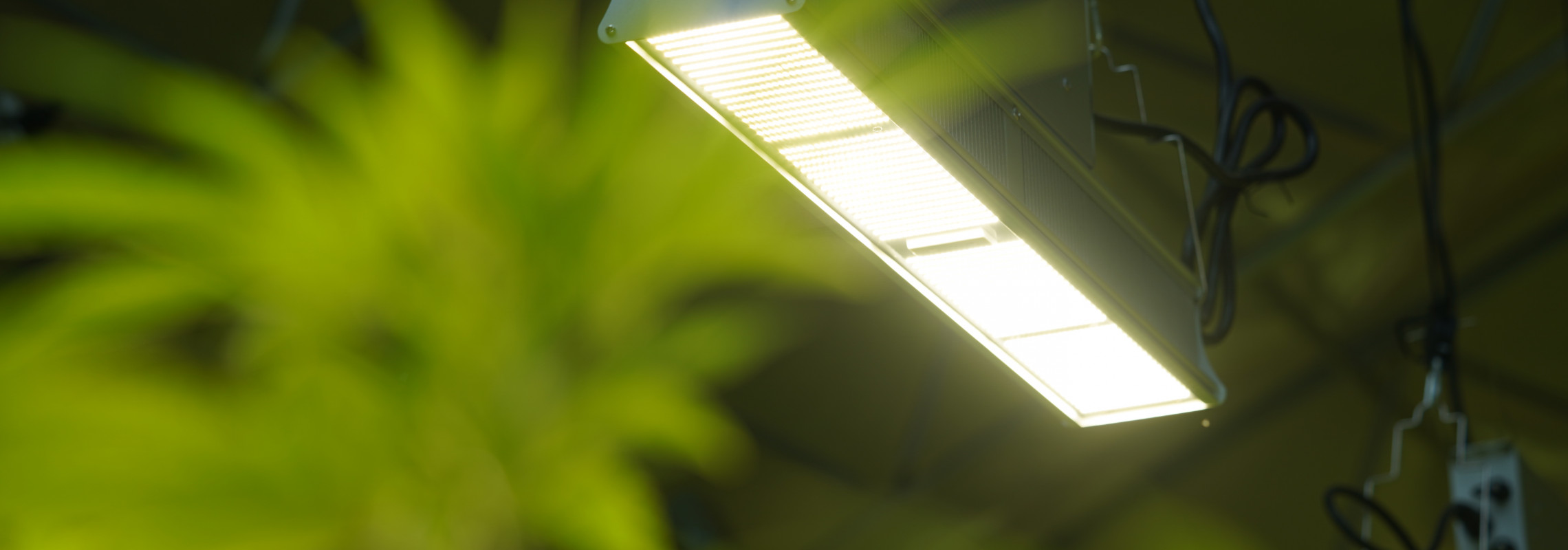 Illuminating the Difference: SecretLED vs. Traditional Lighting