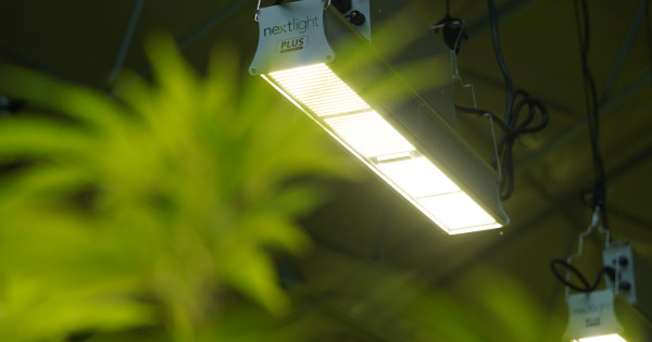 Illuminating the Difference: SecretLED vs. Traditional Lighting